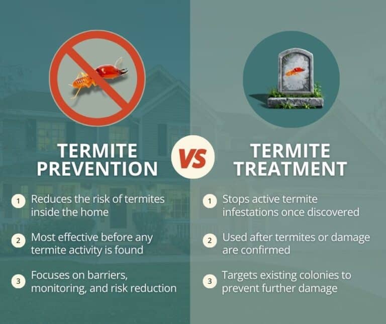 Termite Prevention & Treatment Must-Knows for FL Homes | Inside & Out ...